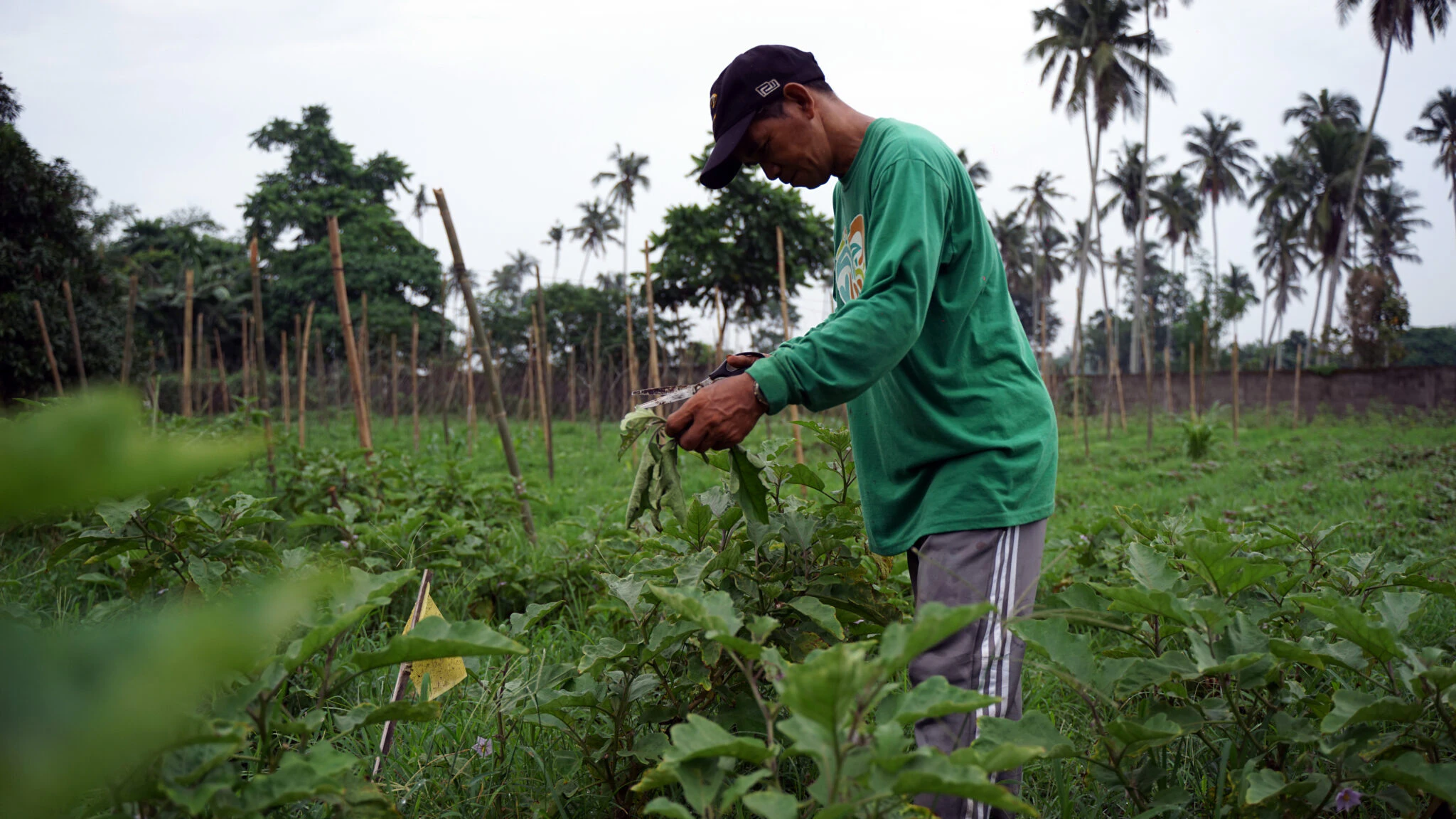 Introducing Our New Story Series! It Starts With a Meal: Philippines ...