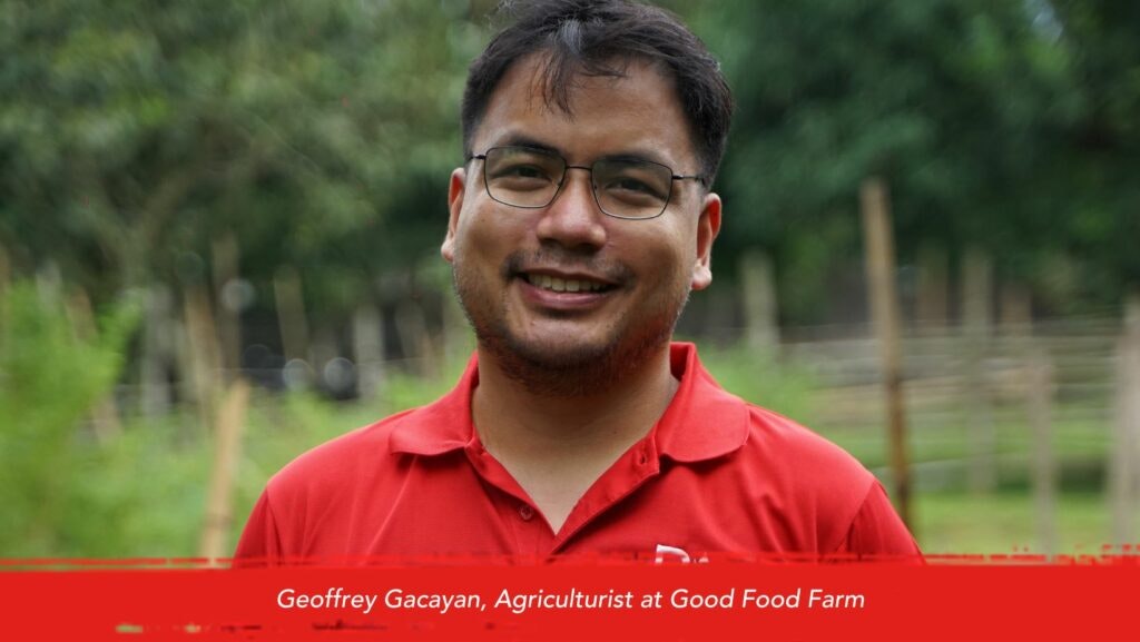 Good Food Farm Improves Access to Nutrition for Families in Magdalena ...