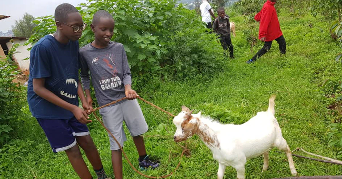 Nutritious School Meals Inspire Gaby to Start a Farm of His Own at Home ...