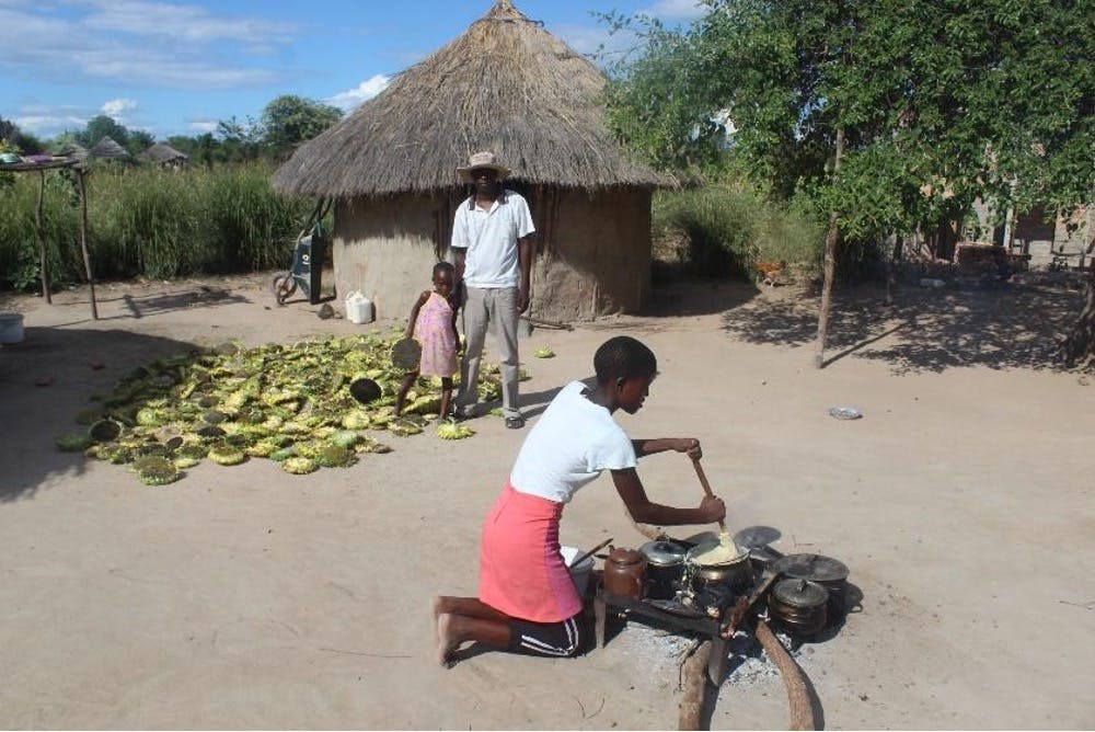 In Gokwe North, It Starts With A Community of Determined Residents ...